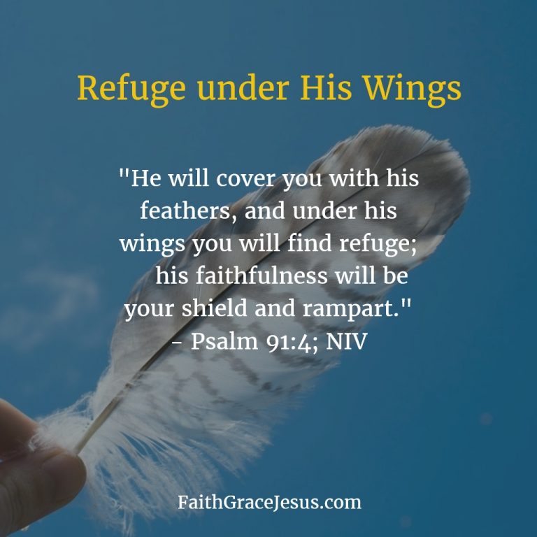 Refuge under His wings | Faith - Grace - Jesus