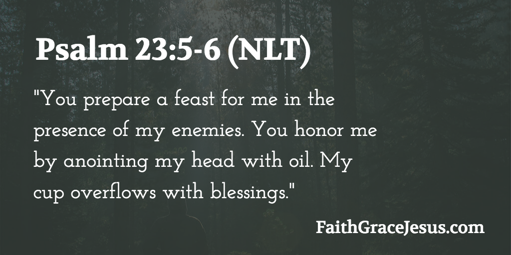 Psalm 23 5 6 God Prepares A Table In The Presence Of Your Enemies