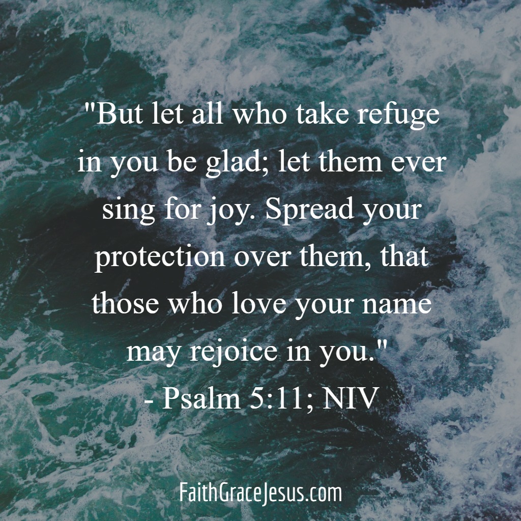 What More Could We Want Joy And Protection From God And Without End