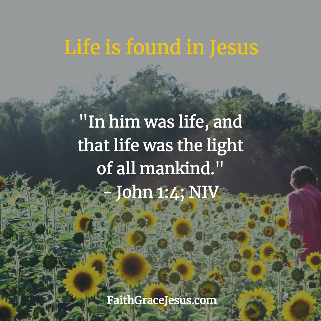 In Jesus Is Life Faith Grace Jesus