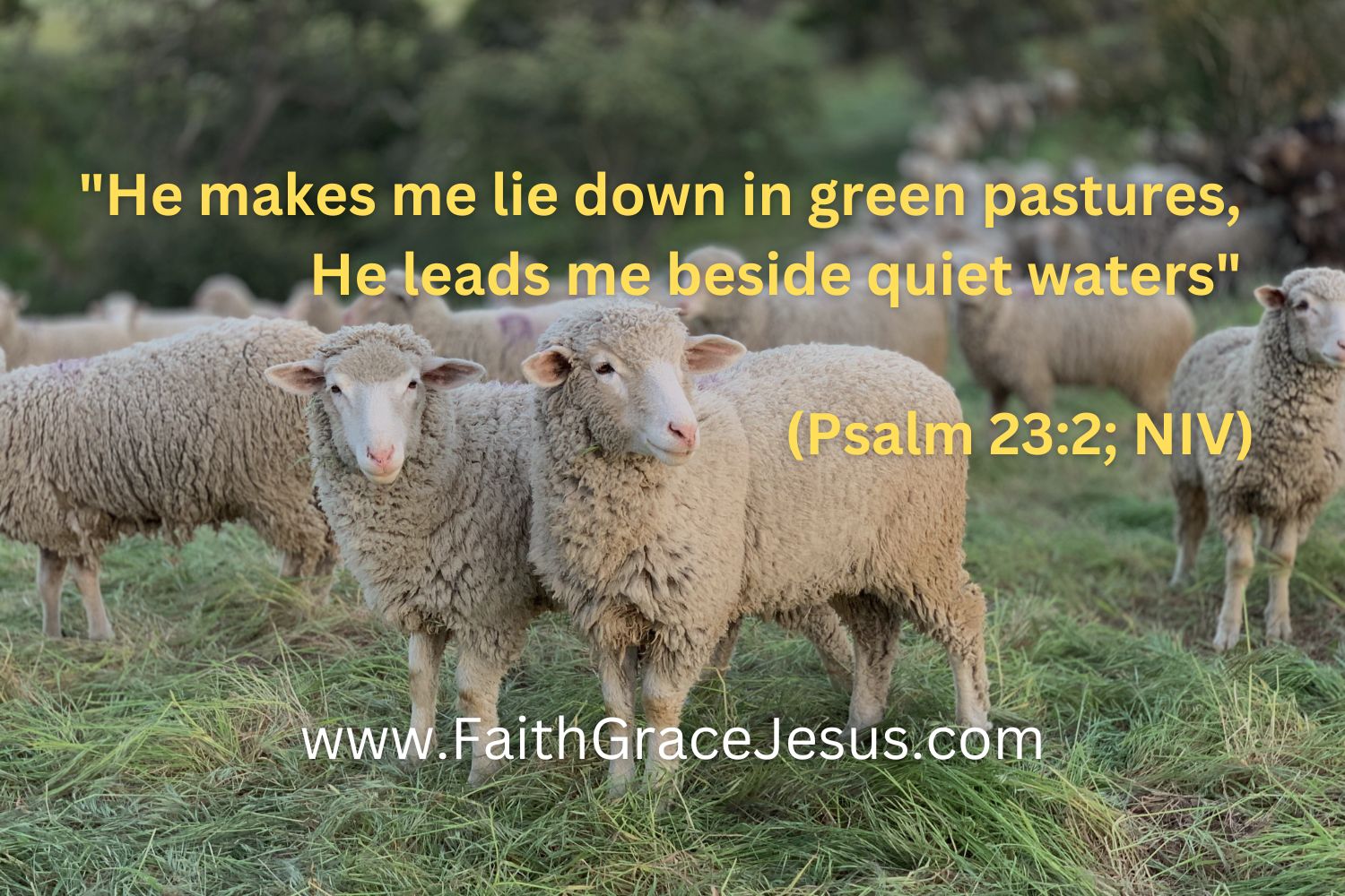 Jesus is the same forever. Even in your storm | Faith - Grace - Jesus