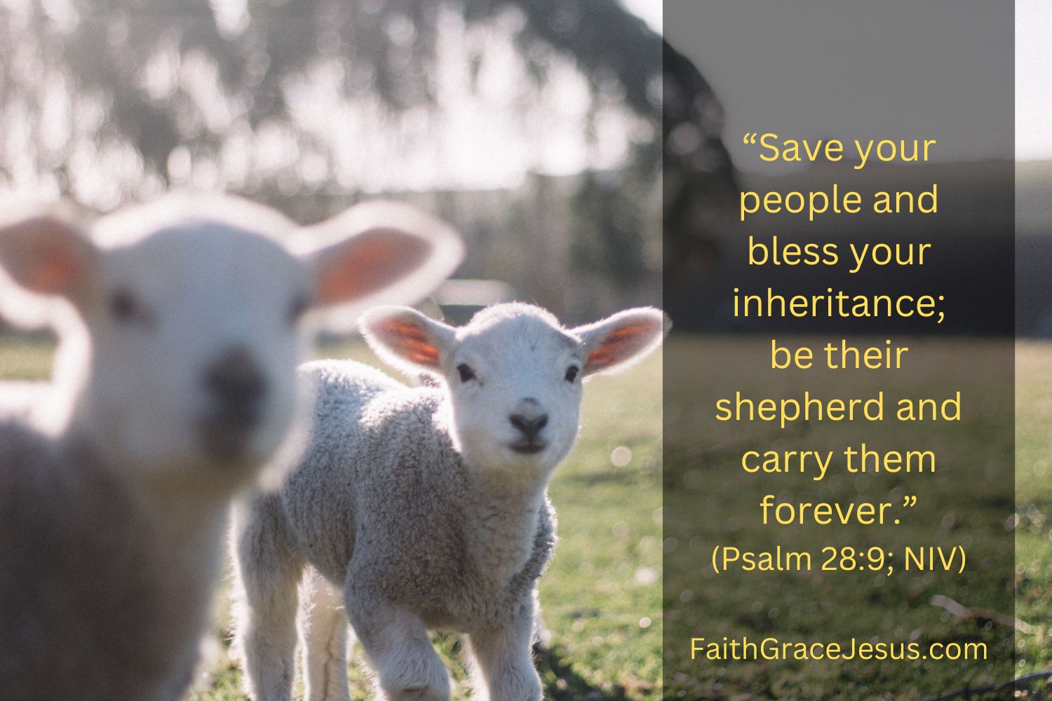 ‘God, I can’t keep going’: God gives you green pastures and quiet ...