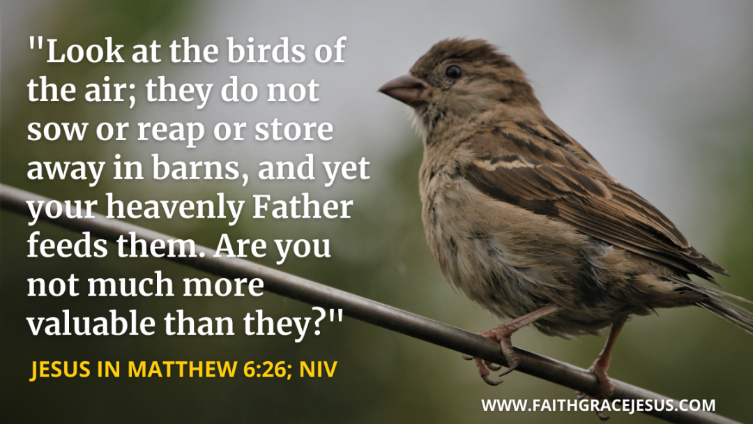 Meaning of “Seek first His kingdom and His righteousness” EXPLAINED ...