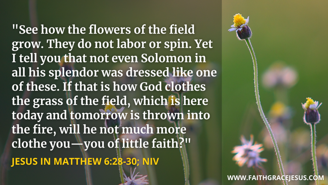 Meaning of “Seek first His kingdom and His righteousness” EXPLAINED ...